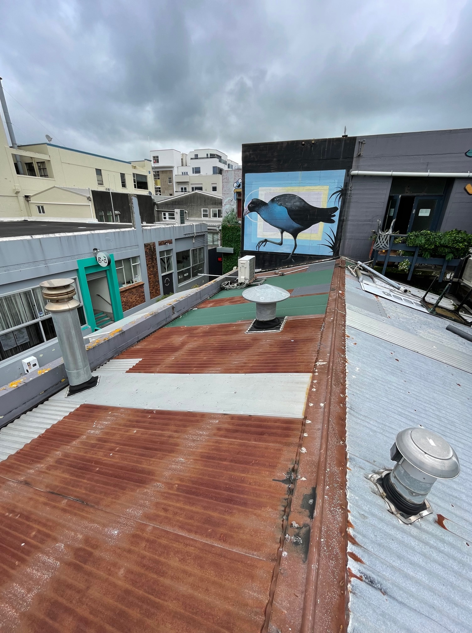 RoofTek Taranaki LTD